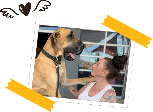 ABOUT US | The Complete Canine Tucson Arizona